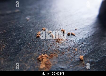 Bore dust, also known as frass, caused by emerging adult woodworm ...