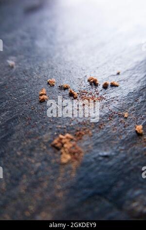Holes caused by a wood boring beetle larva in the soft wood trunk of a ...