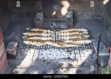 Illustrative photo, Brancin (Lubin), Common Sea Bass, fish, food ...