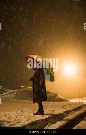MANALI, INDIA - Jan 23, 2020: An old man carrying hardwood on his back ...