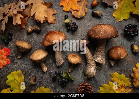 Boletus mushrooms over dark stone background. Top view autumn ...