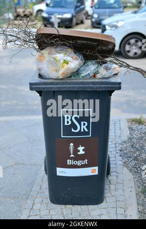 Biological waste, waste bin, BSR, Berlin, Germany Stock Photo - Alamy