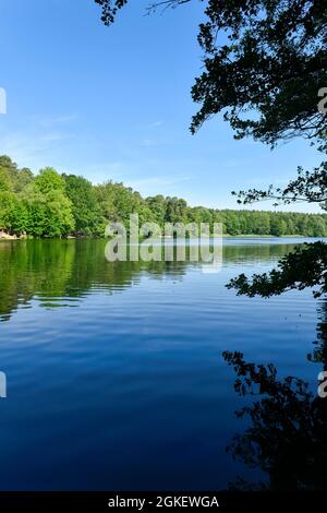 Krumme Lanke, Lake, Steglitz-Zehlendorf, Grunewald, Berlin, Germany ...
