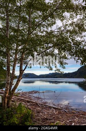 View of Holberg Inlet, the western arm of Quatsino Sound, Northern ...