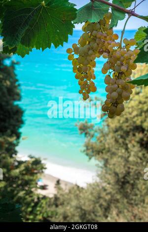Famous beach of Chorefto, Pelion, Greece Stock Photo - Alamy