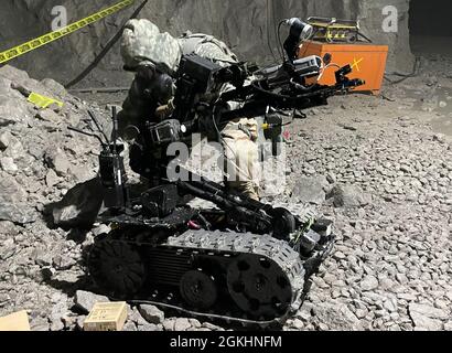 The telerob Explosive Ordnance Disposal and Observation Robot ('tEODor ...