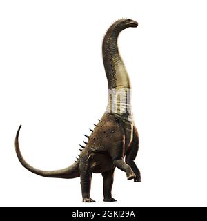 Titanosaurus from the Cretaceous era 3D illustration Stock Photo - Alamy