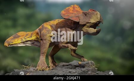 Protoceratops, dinosaur from the Late Cretaceous period, sitting ...