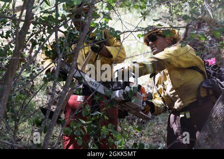 California National Guardsmen from Joint Task Force Rattlesnake, Fresno ...