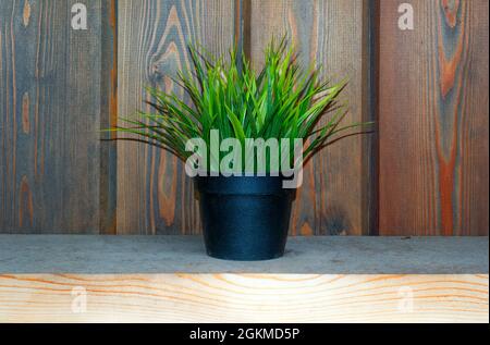 artifical grass in pot on desk. Fake grass decor Stock Photo - Alamy