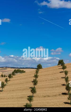 Zafarraya, Granada, Spain, Europe Stock Photo - Alamy