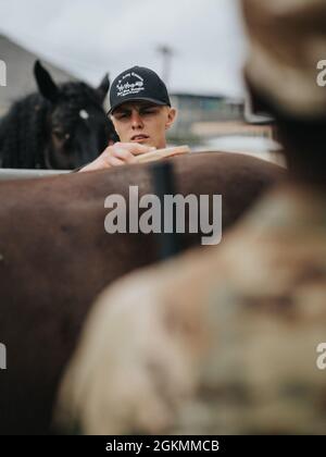 Soldiers with the Fort Sam Houston Caisson Section carry the flag ...