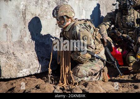 Combat engineers assigned to 29th Brigade Engineer Battalion, 3rd ...