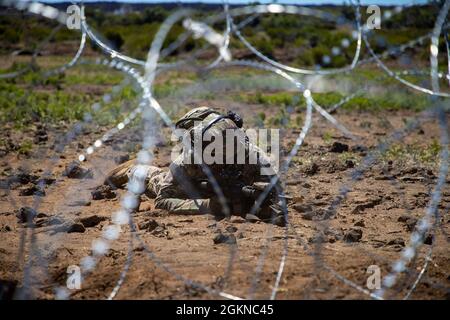 Combat engineers assigned to 29th Brigade Engineer Battalion, 3rd ...