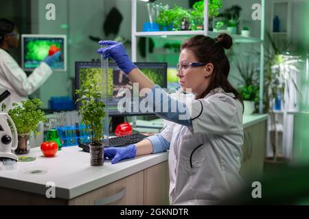 African american biochemist scientist measuring sapling using ruler ...