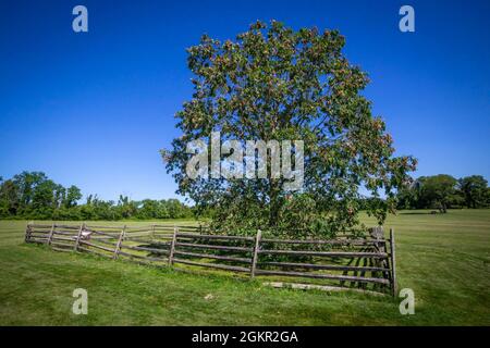 Gen. Hugh Mercer Stock Photo - Alamy