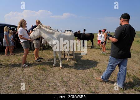 Visitors feeding Begging burros on the roadside in Custer State Park ...