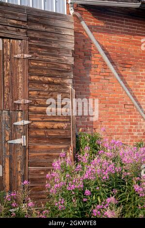 Rustic textured light purple cement wall. Concrete backdrop Stock Photo ...