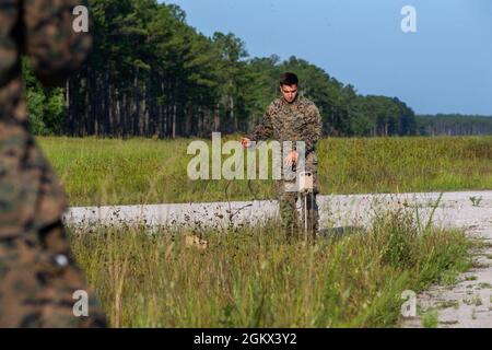 U.S. Marines with 2nd Intelligence Battalion (2D Intel Bn) and 8th ...