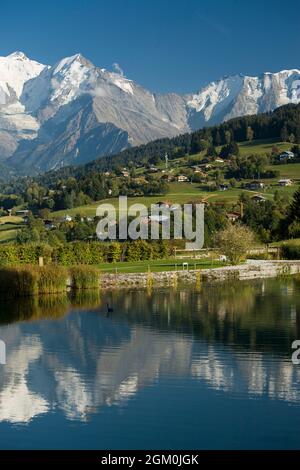 Biotope lake of Combloux (74 Stock Photo - Alamy