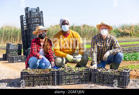 Group of farm workers in masks posing with crates at plantation Stock ...