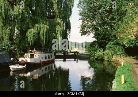 Hertford Lock on the River Lea Navigation, in summertime, Hertfordshire ...