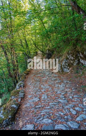 Mule track built for the Pilgrimage from Rapallo to the Sanctuary of ...
