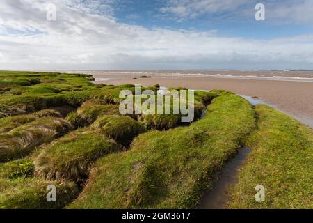 Campfield Marsh RSPB Reserve, Cumbria, January 2014 Stock Photo - Alamy