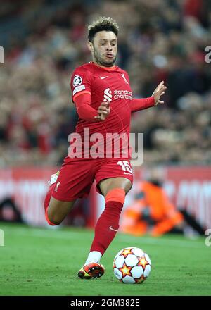 Liverpool's Alex Oxlade-Chamberlain Stock Photo - Alamy