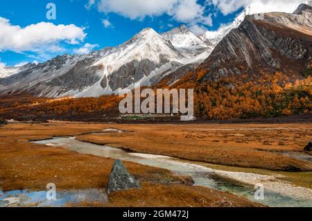 Shot of a grassy field beneath the forest on a mountain on a foggy day ...