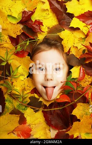 Artistic conceptual autumn portrait. Colorful leaves. Leaves of trees ...