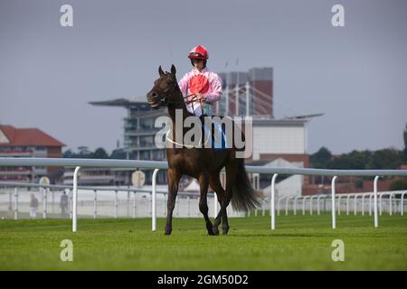 JASON HART, JOCKEY, 2021 Stock Photo - Alamy