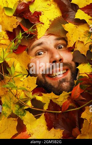Artistic conceptual autumn portrait. Colorful leaves. Leaves of trees ...