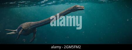 Elasmosaurus platyurus, a prehistoric dinosaur from the Cretaceous ...