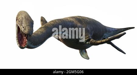 Elasmosaurus, aquatic reptile from the Late Cretaceous period, one of ...