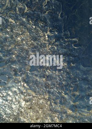 Ickle icicle melting driping drops winter snow Stock Photo - Alamy