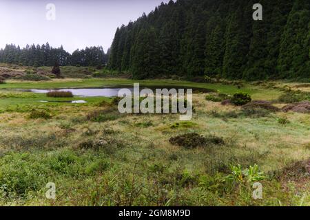 Lagoa do Negro (Black Lagoon) and forest in Terceira Island, Azores ...
