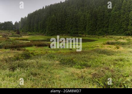 Lagoa do Negro (Black Lagoon) and forest in Terceira Island, Azores ...