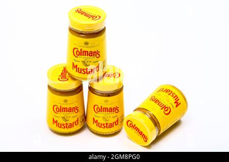 Jars of Colmans Original English Mustard a Unilever product isolated on ...