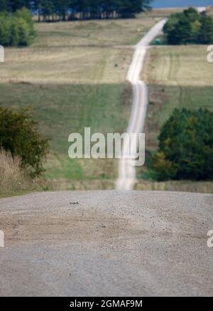 1 mile long track through meadows and woodland disappears over a ...