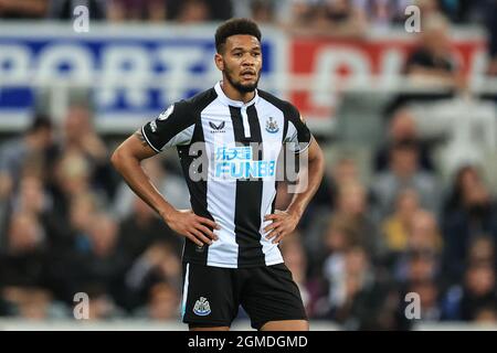 Joelinton #7 of Newcastle United during the Carabao Cup Quarter Final ...