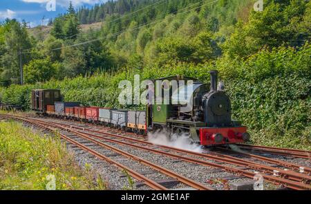 The Corris Railway, steam engine No 7 simmers outside of the shed at ...