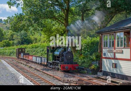 Loco No 4 Edward Thomas with a slate wagon train on The Corris Railway ...