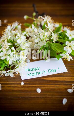 thank you card and blooming spring branch with flowers isolated on ...