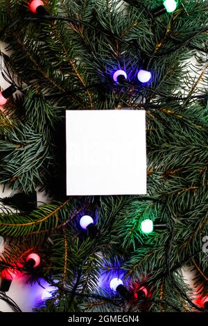 selective focus. Christmas light layout, copyspace. tree branches and ...