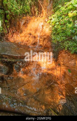 Red iron oxide staining in water course entering the Afon Goch Stock ...