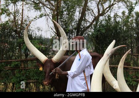 Nyanza, Rwanda. 17th Sep, 2021. A breeder plays an instrument for a ...