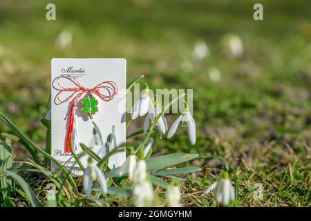 Beautiful snowdrops with traditional martisor on yellow background ...