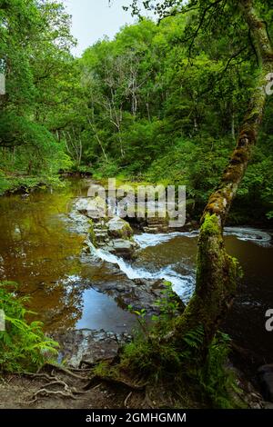 River Neath at the start of the Elidir Trail Stock Photo - Alamy
