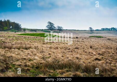 Drystone rifle butts on an old firing range from the Boer War era on ...